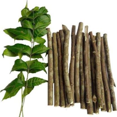 Learning about Neem and its benefits - Learning Thursdays