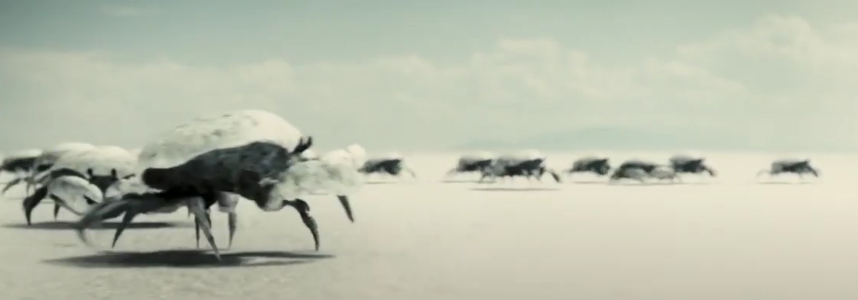 Learning from crabs - Learning Thursdays