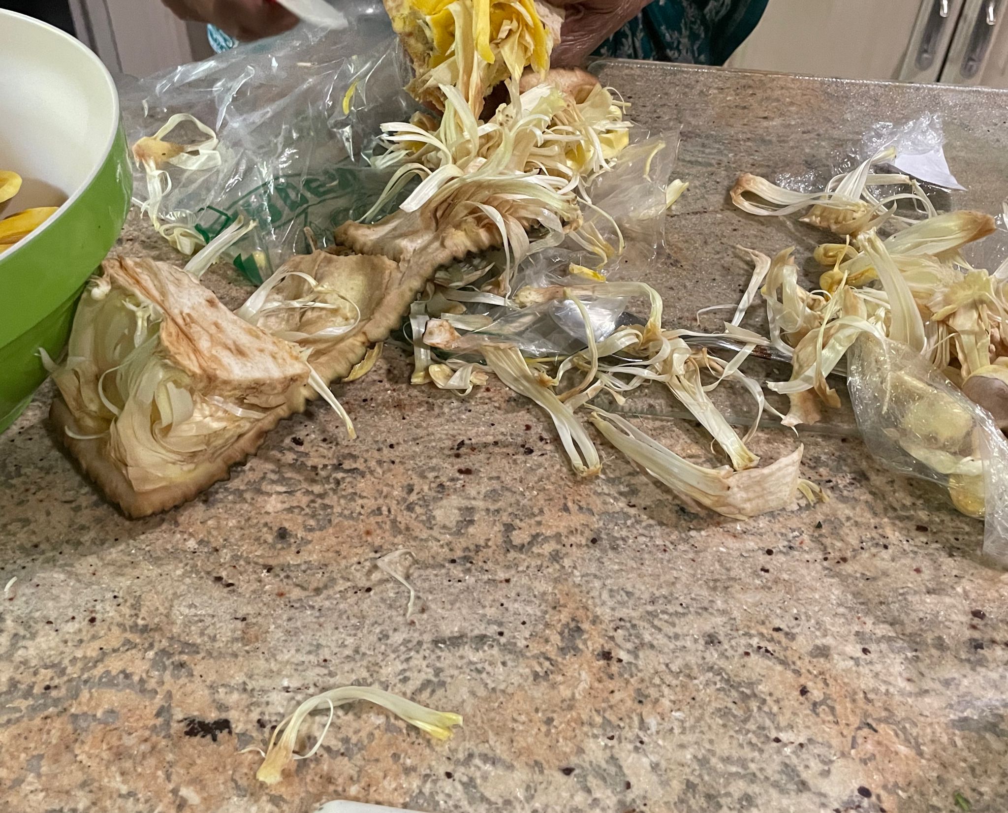 Learning about Jackfruit - Learning Thursdays